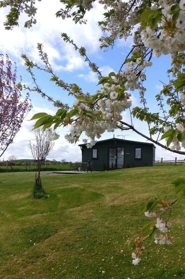 Seal Cabin: a Seaside Escape in Strangford - Trek NI