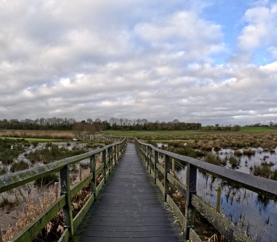 Why Local Nature Reserves Make for Great Family Friendly Walks - Trek NI