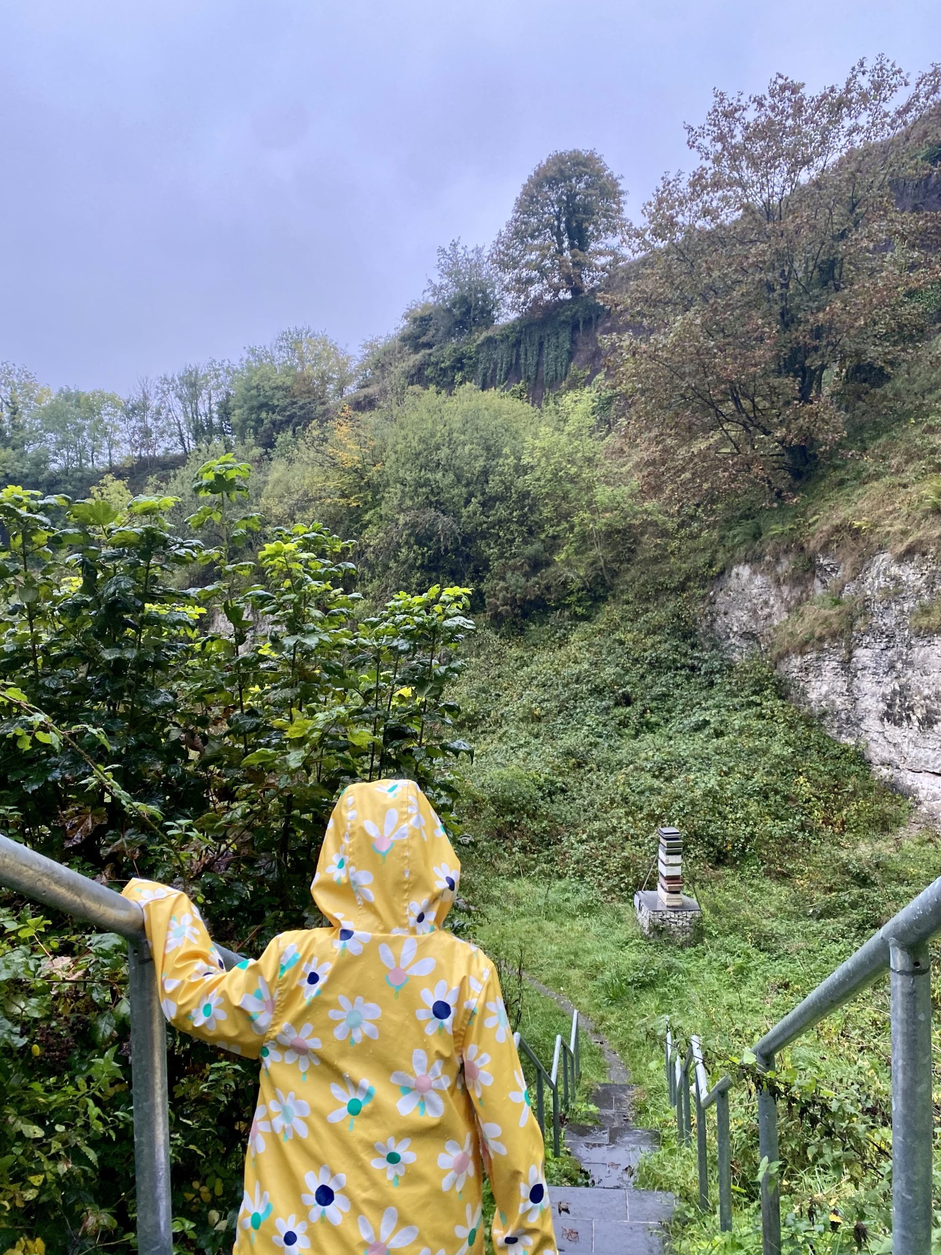 Why Local Nature Reserves Make for Great Family Friendly Walks - Trek NI
