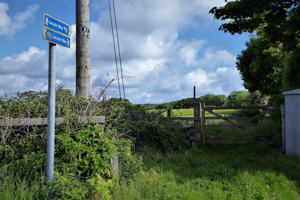 The Pads of North Lecale - Trek NI