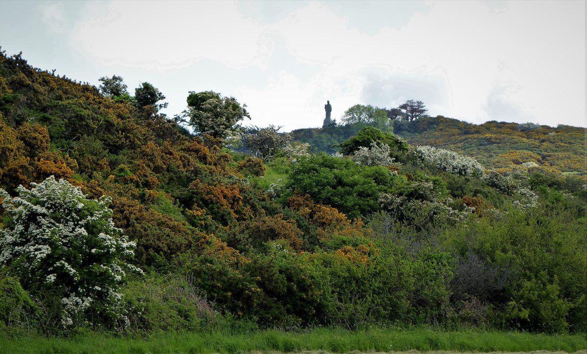 The Pads of North Lecale - Trek NI
