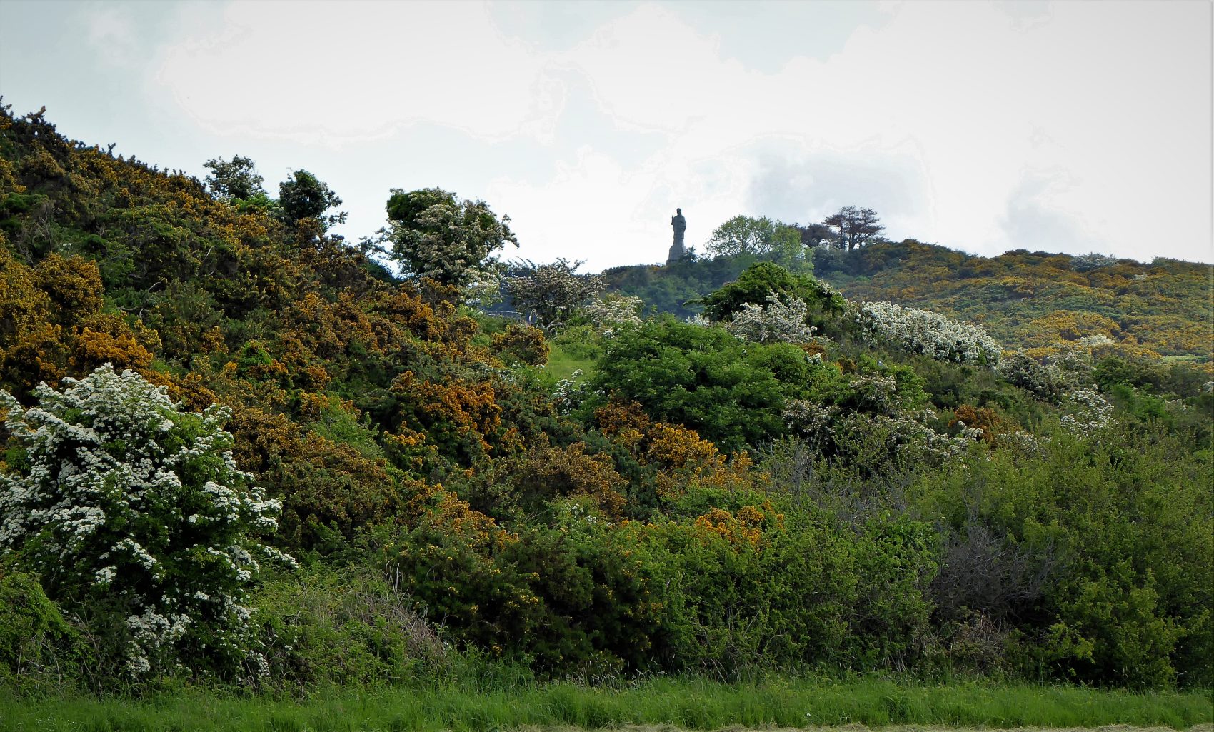 The Pads of North Lecale - Trek NI