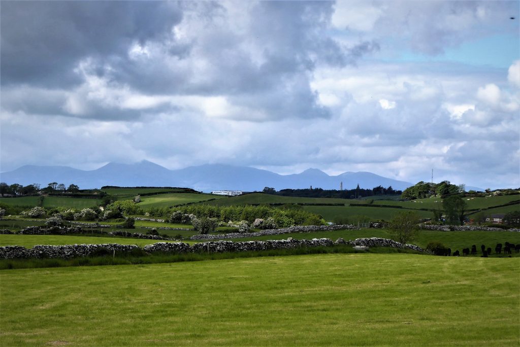 The Pads of North Lecale - Trek NI