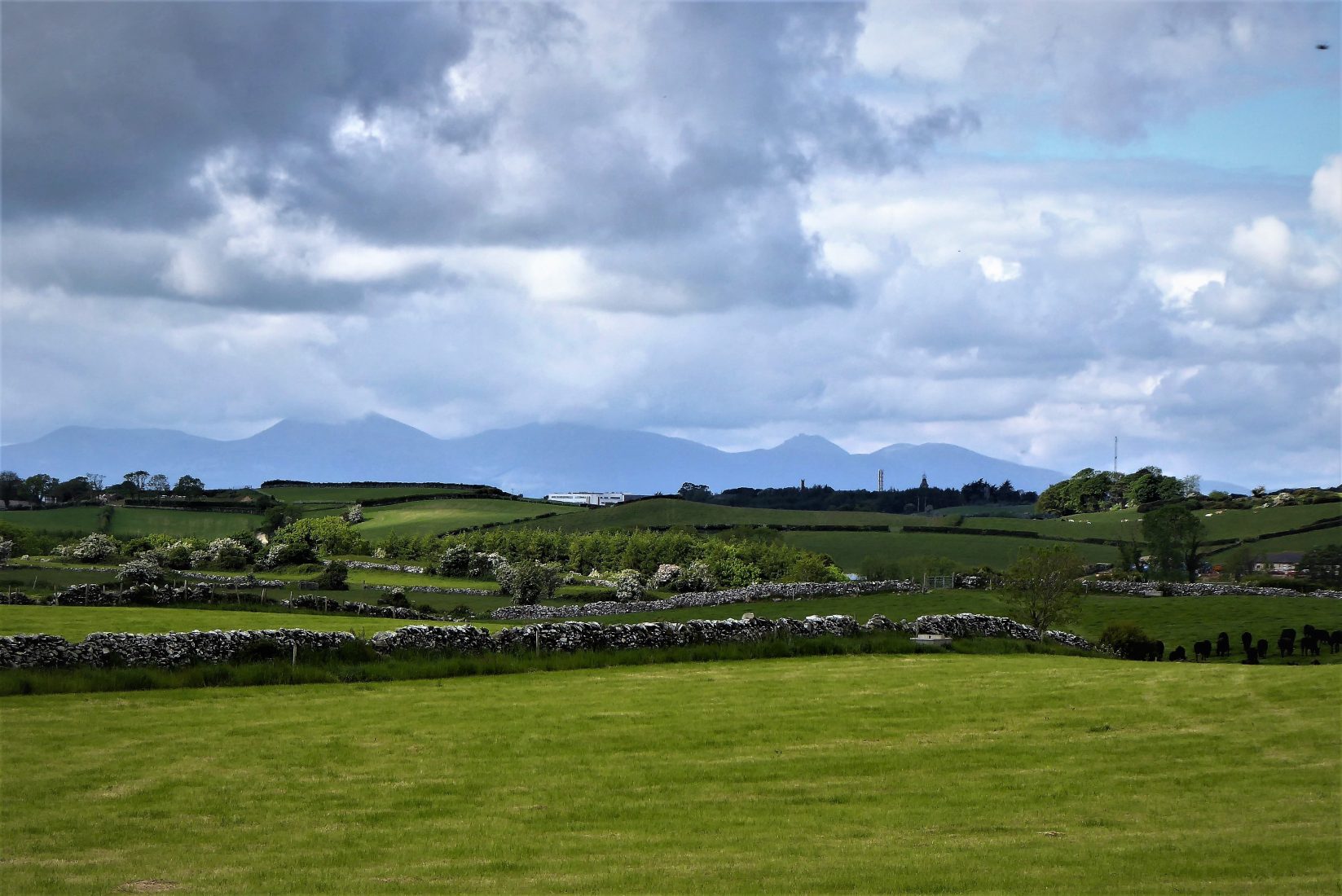 The Pads of North Lecale - Trek NI