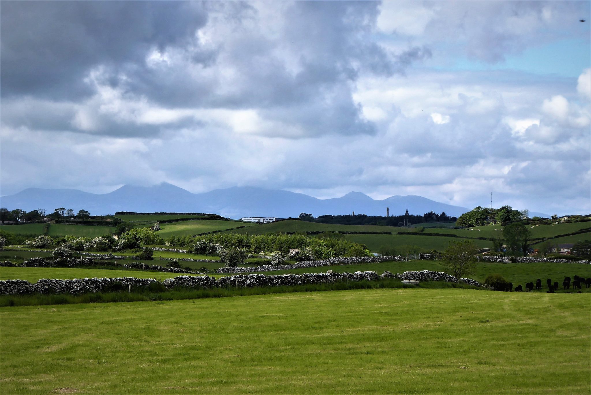 The Pads of North Lecale - Trek NI