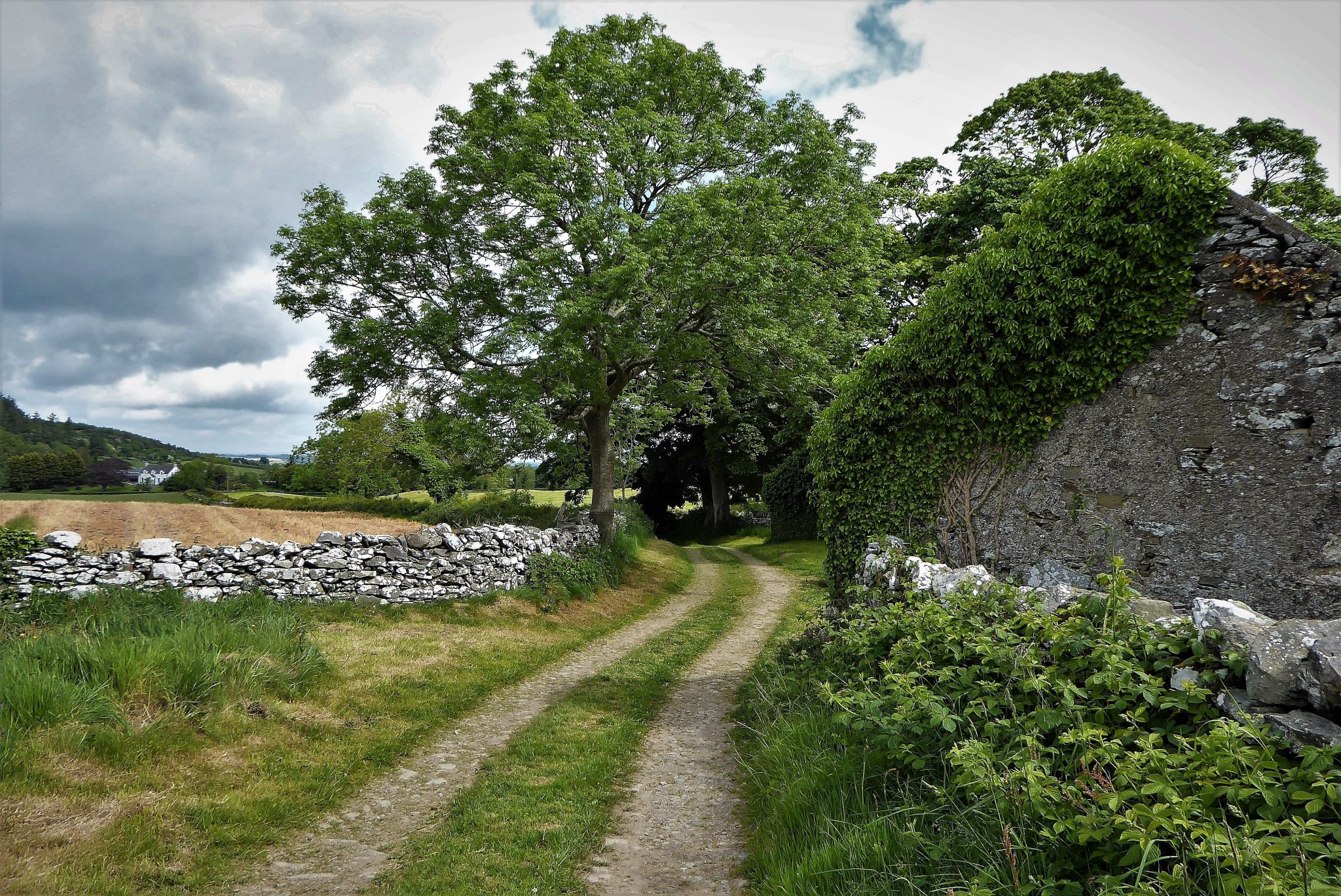 The Pads of North Lecale - Trek NI