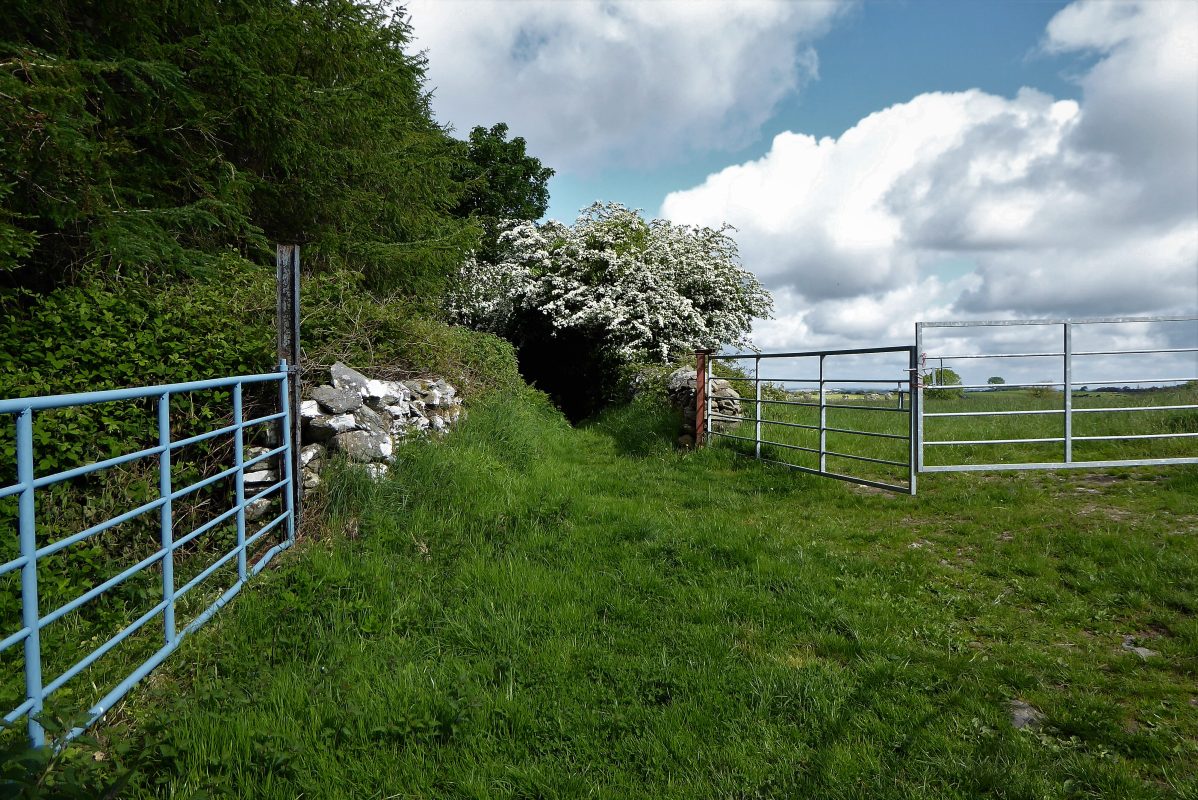 The Pads of North Lecale - Trek NI