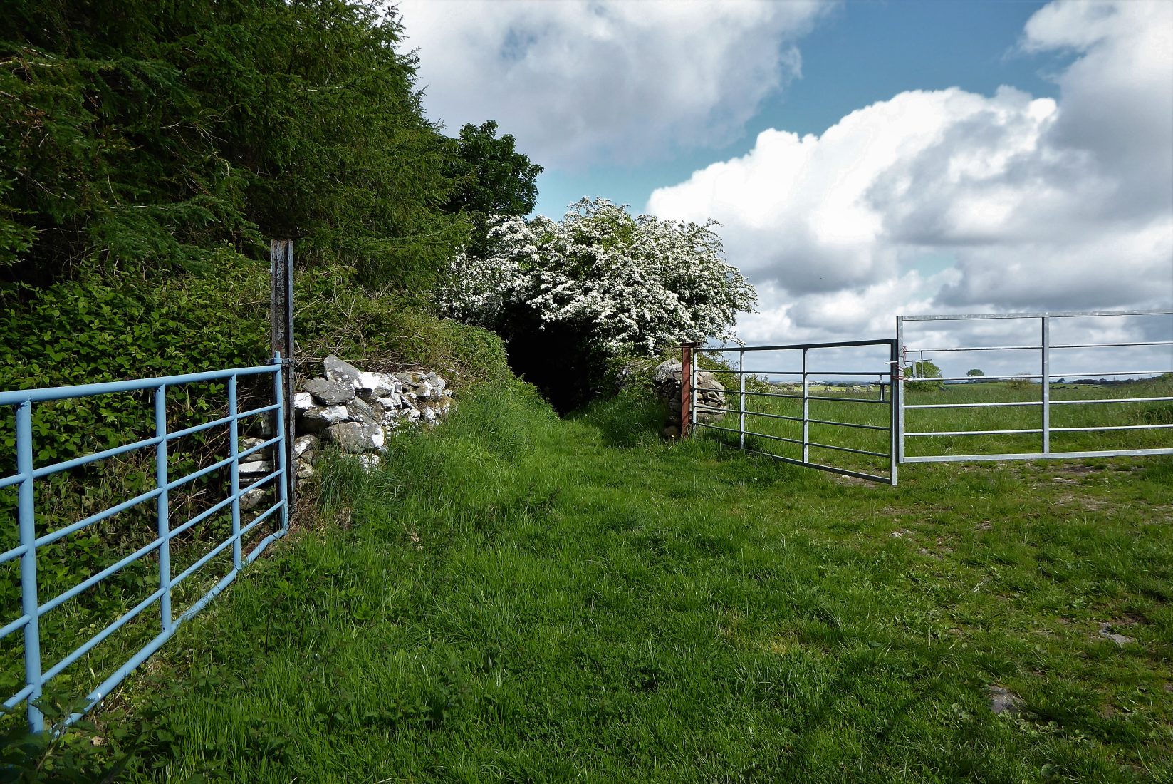 The Pads of North Lecale - Trek NI