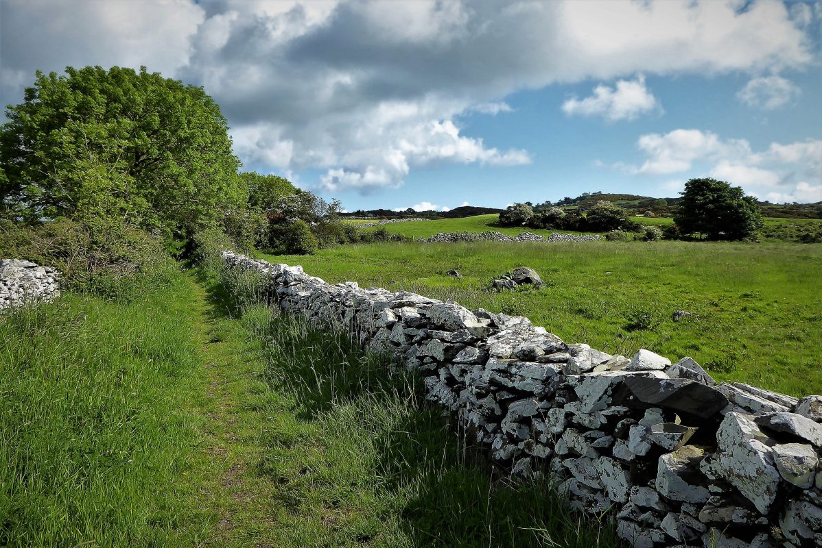 The Pads of North Lecale - Trek NI