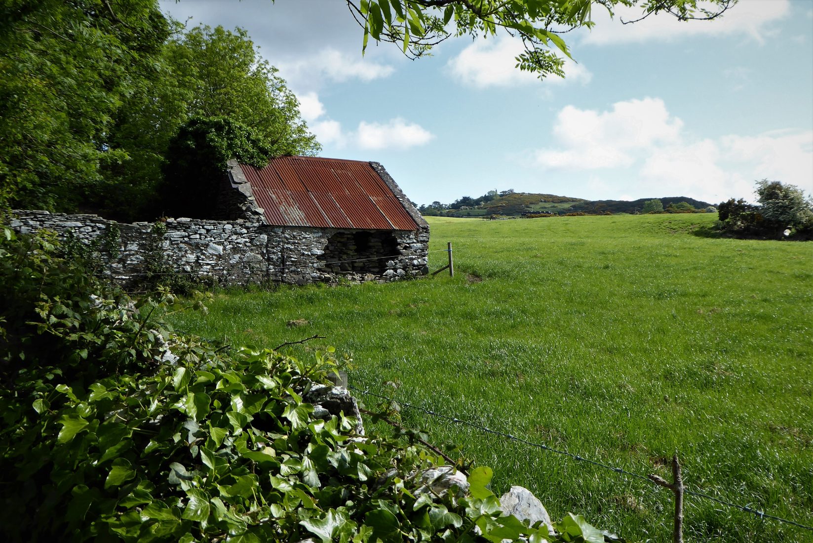 The Pads of North Lecale - Trek NI