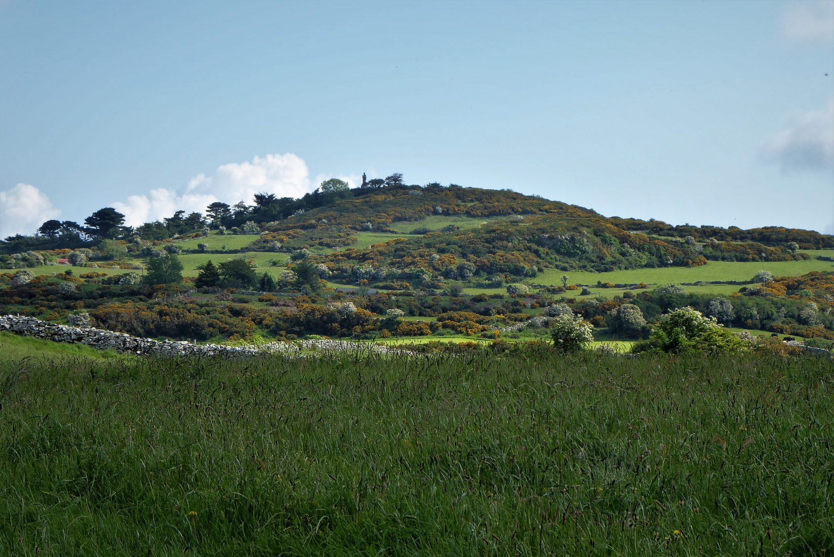 The Pads of North Lecale - Trek NI