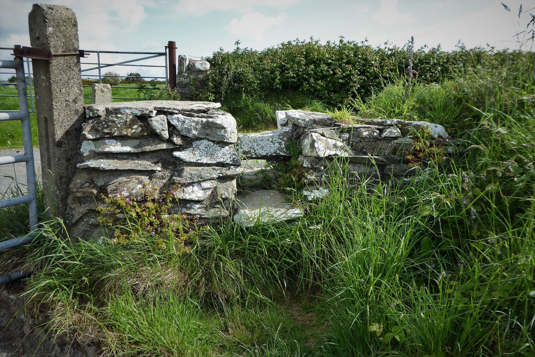 The Pads of North Lecale - Trek NI