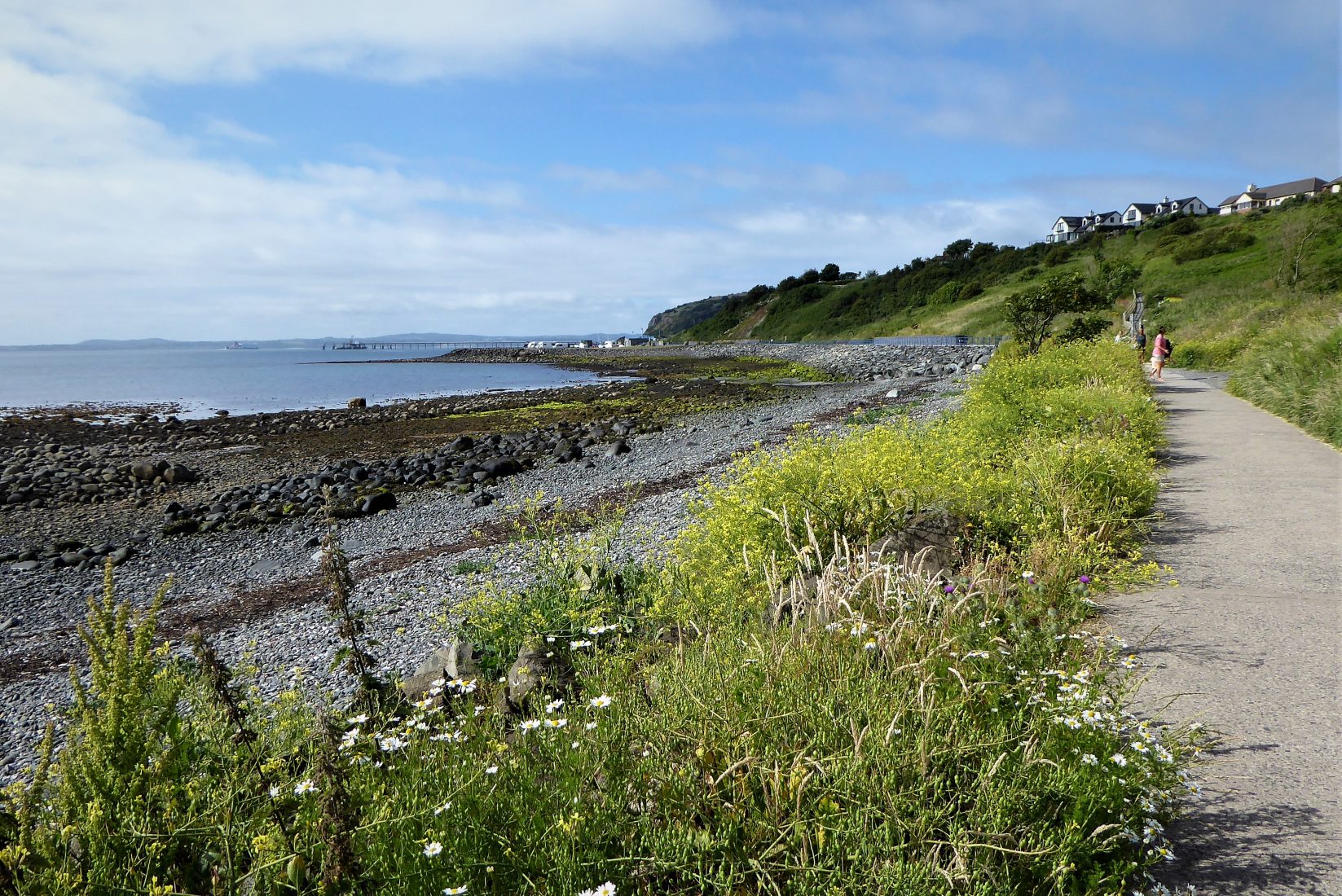 Blackhead Coastal Path - Trek NI
